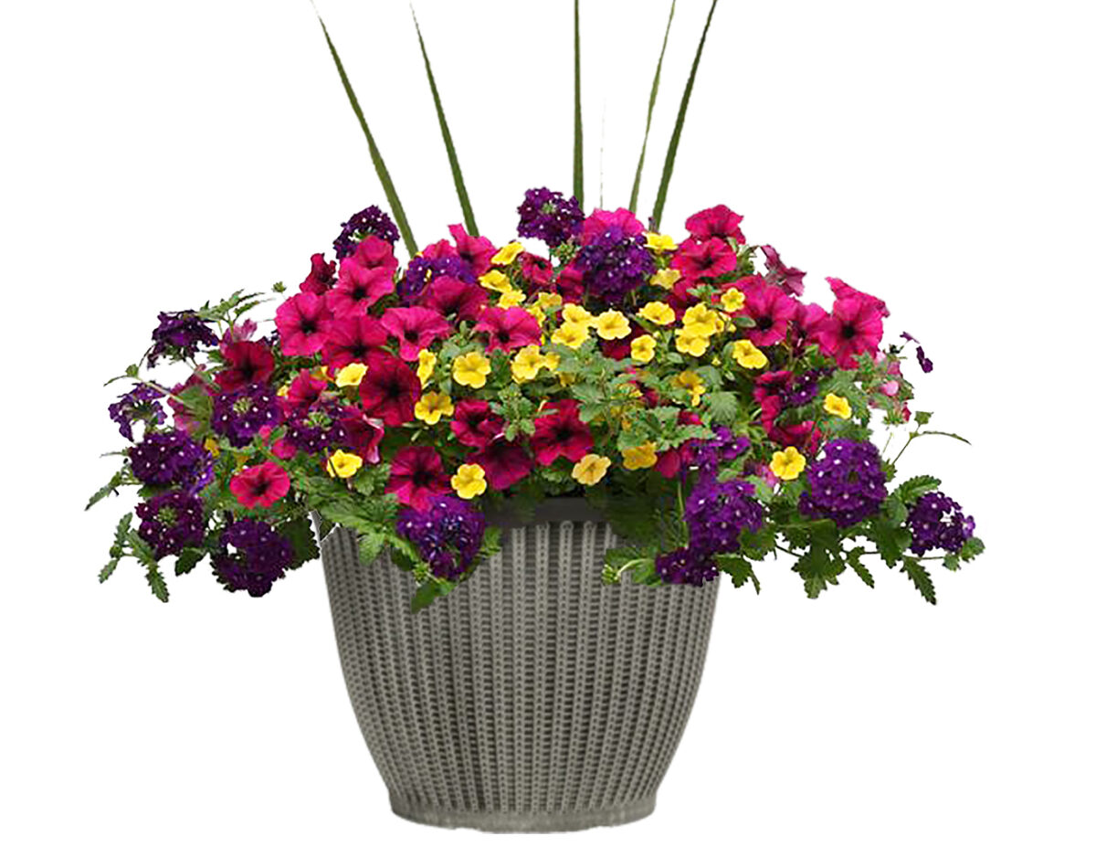Designer Planters - Andy Mast Greenhouses